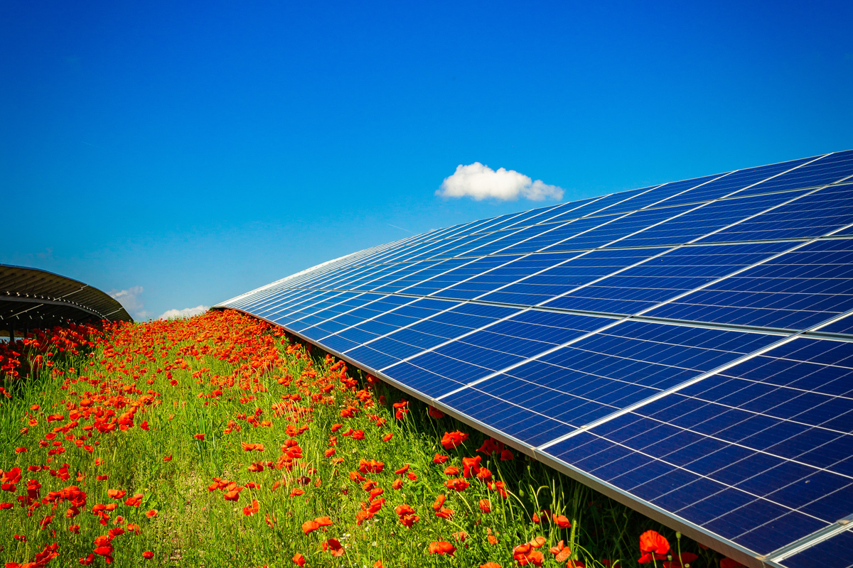 Investment in a sustainable future: IBC SOLAR launches public ...